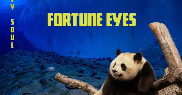 Ley Soul - "Fortune Eyes"