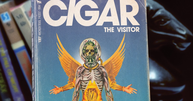 The Visitor