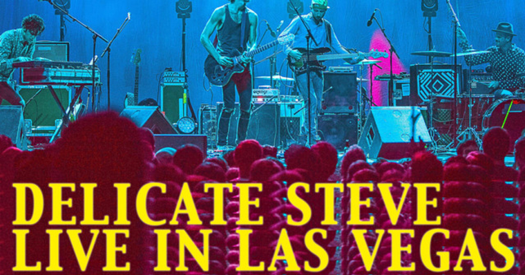 Delicate Steve