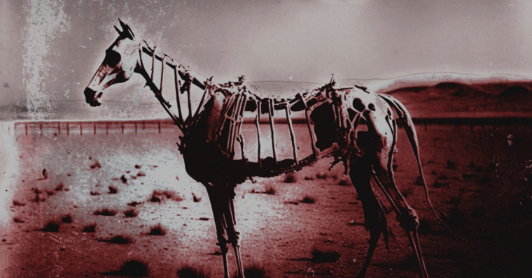 Goodbye Horses (cover)