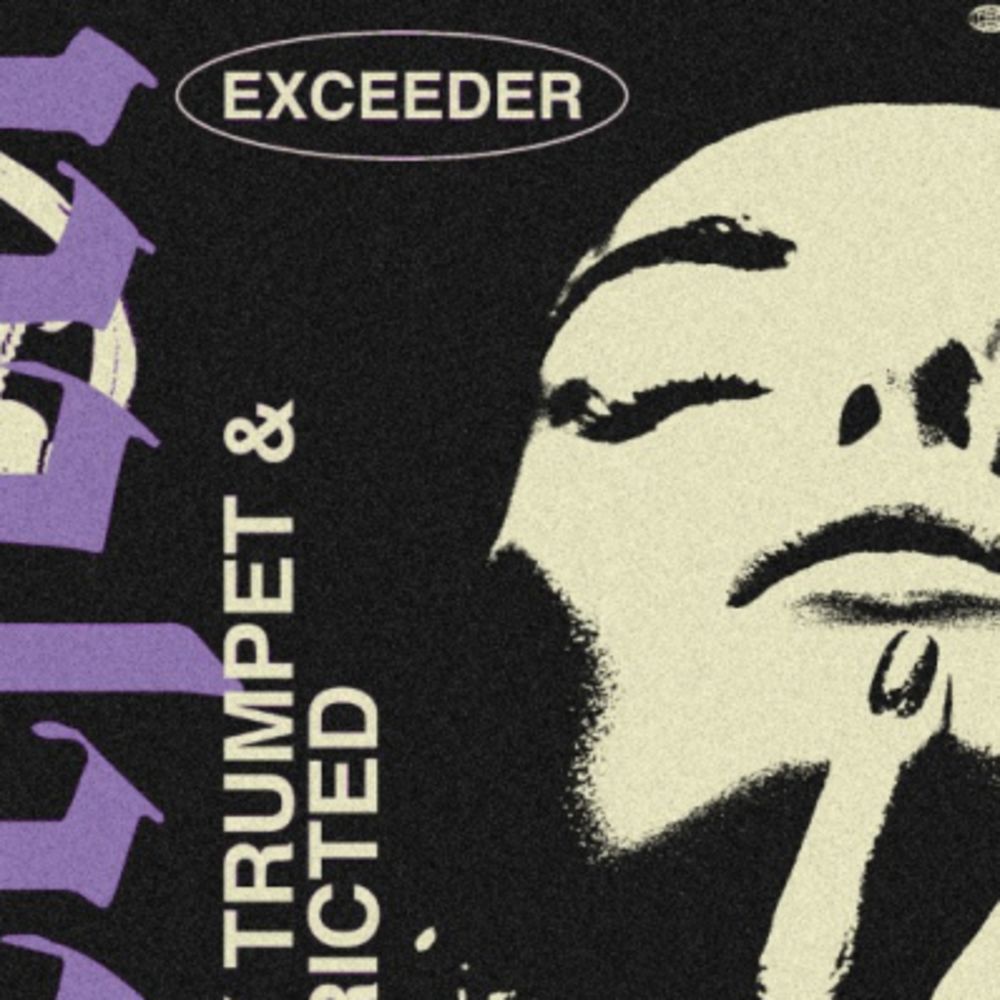 Timmy Trumpet & Restricted - Perfect (Exceeder)