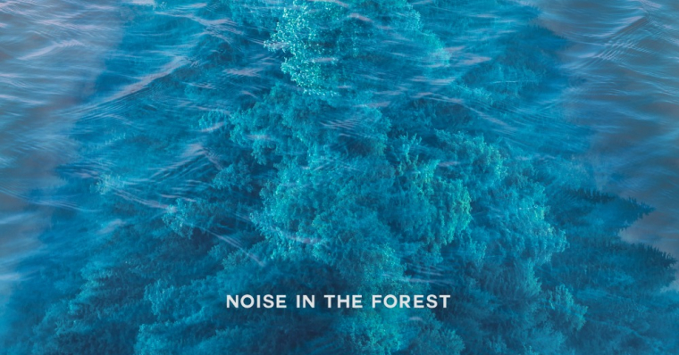 Ripe - Noise In The Forest