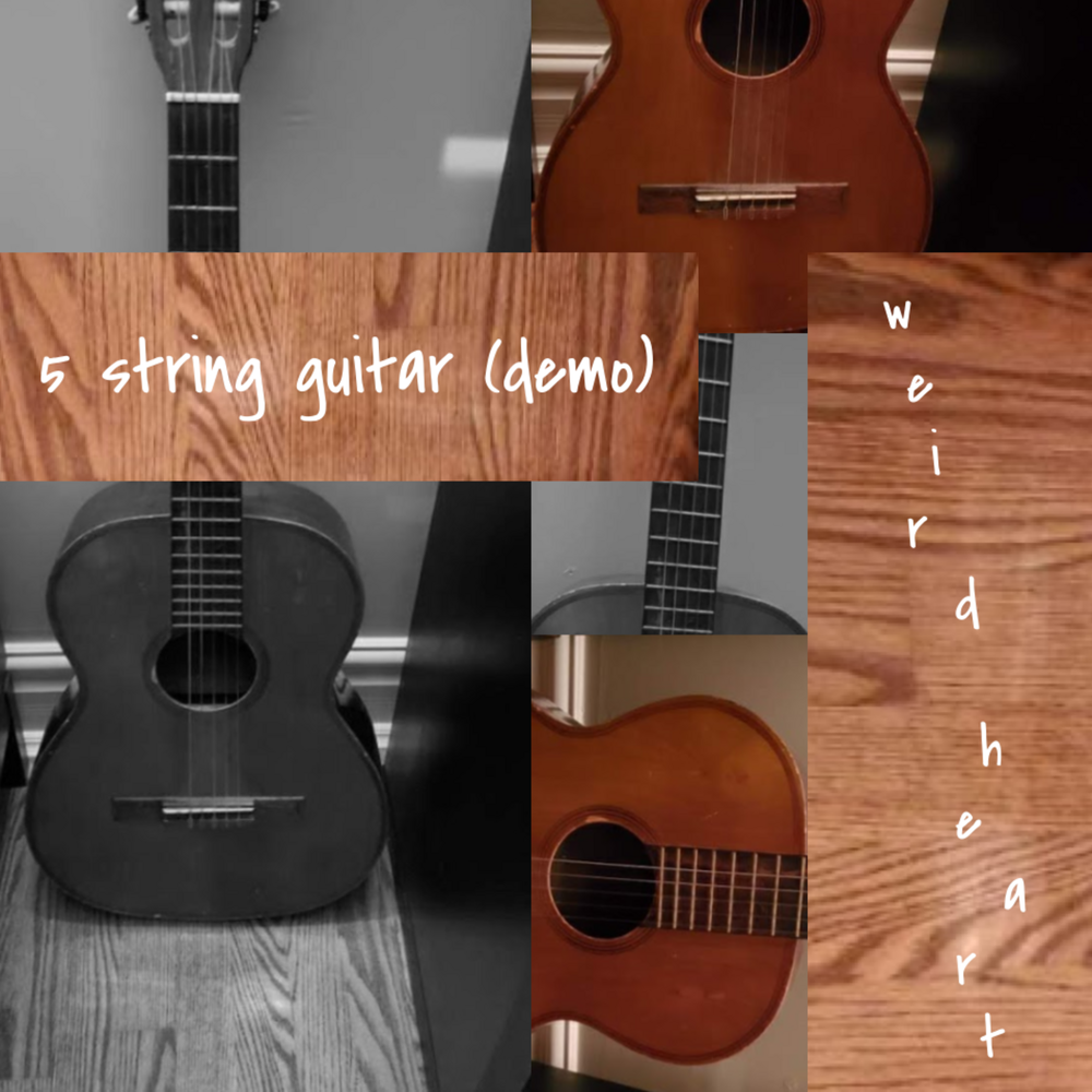 5 String Guitar (Demo)