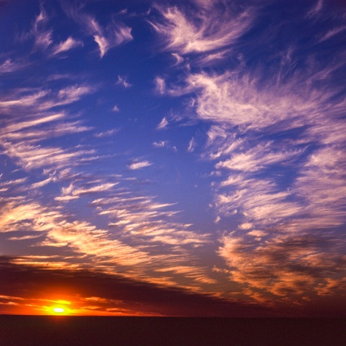 Trevor McSpadden - Amarillo Sunset