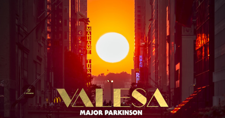 Major Parkinson - Valesa - Chapter I: Velvet Prison