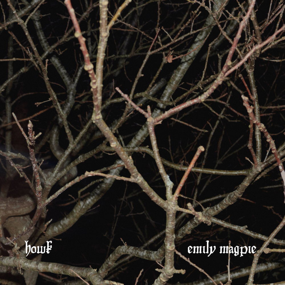 Emily Magpie - howl
