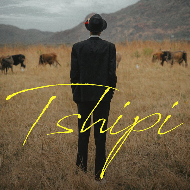 Tshipi