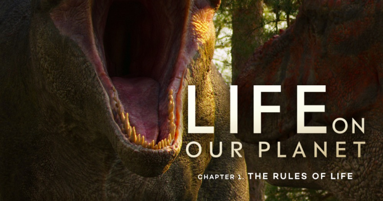 Chapters 1-8 (Soundtrack from the Netflix Series)