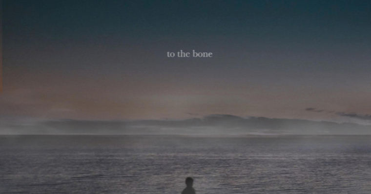 Alan Fiore - to the bone