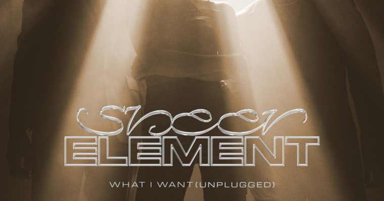 Sheer Element - What I Want (Unplugged)
