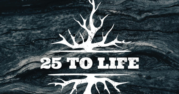 25 to Life