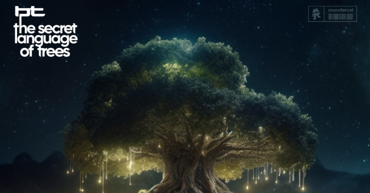 BT - The Secret Language of Trees