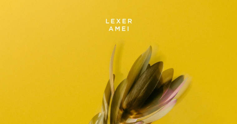 Lexer - Amei