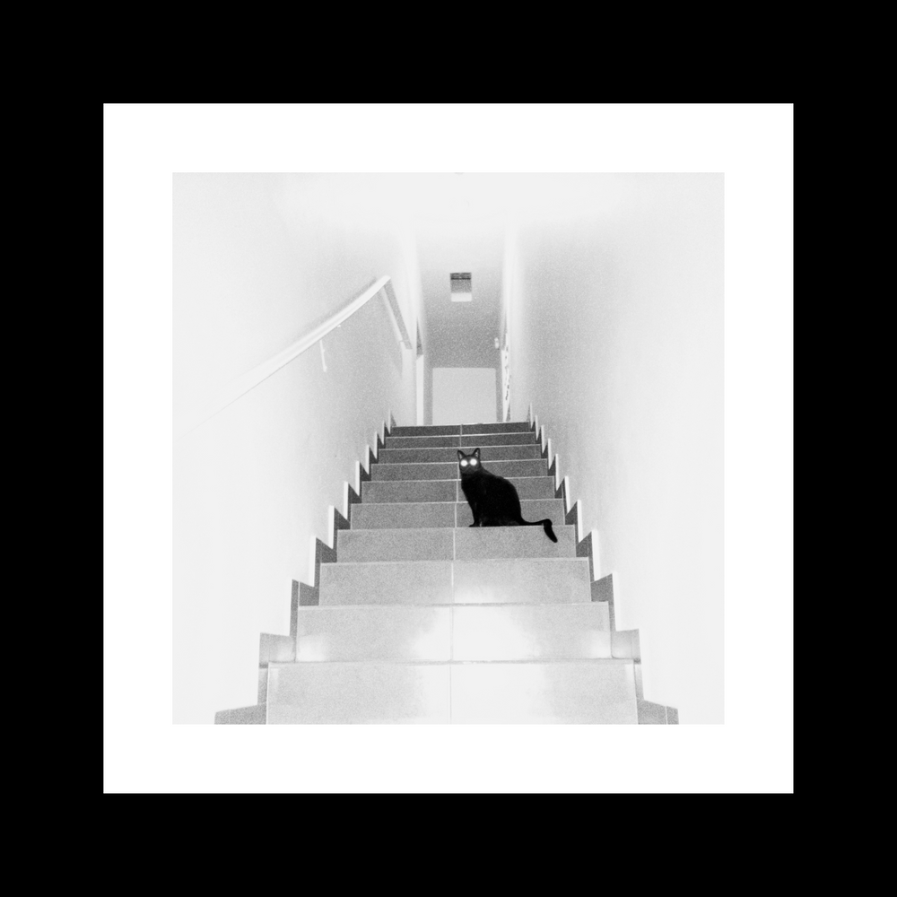 memento-no-shade