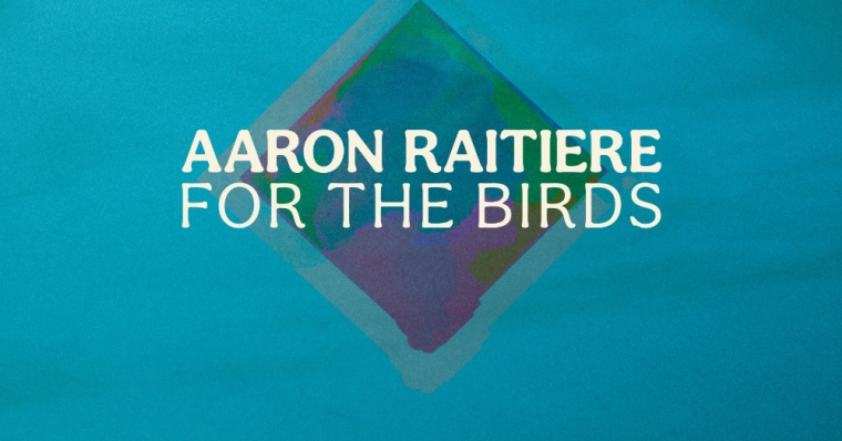 Aaron Raitiere - For the Birds