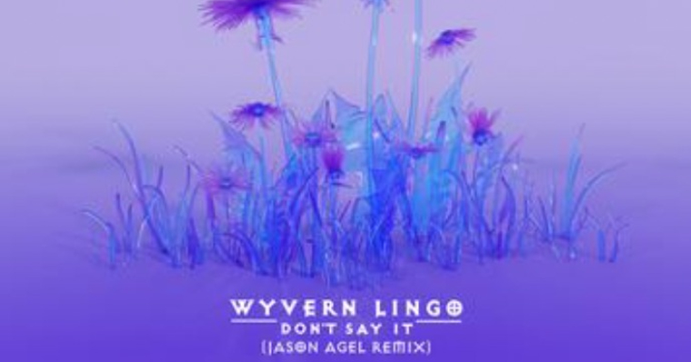 Don't Say It (Jason Agel Remix)