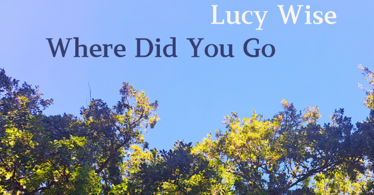 Lucy Wise - Where Did You Go