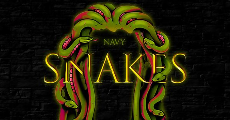 Navy ft. DWN - Snakes