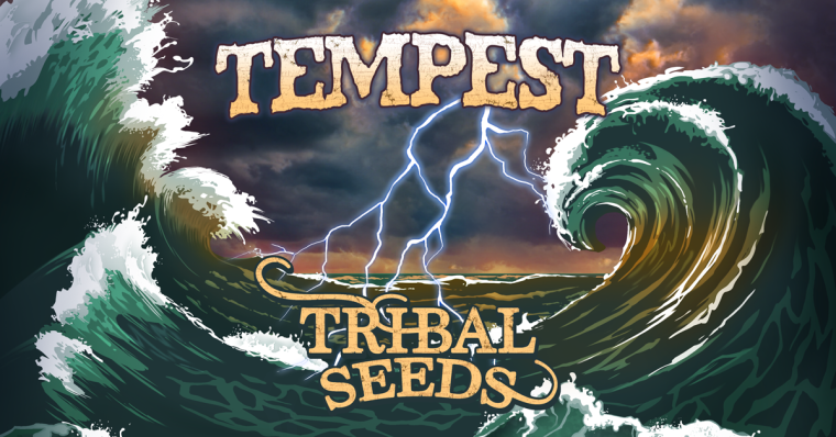 Tempest