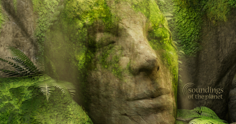 Forest Path from the upcoming album Earth Within